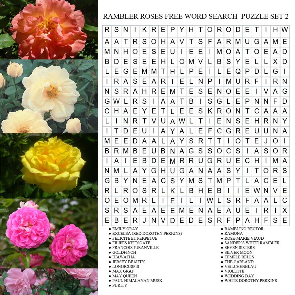 Rambler Roses Set 1, free wordsearch puzzle of the day - Crafters Media