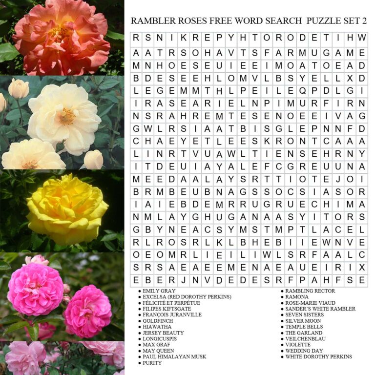 Rambler Roses Set 1, free wordsearch puzzle of the day - Crafters Media