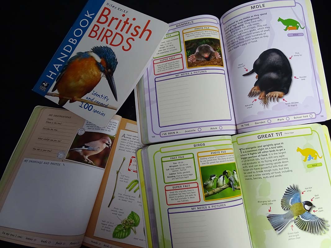 Books: Let Children enjoy field guides with these books(British birds ...