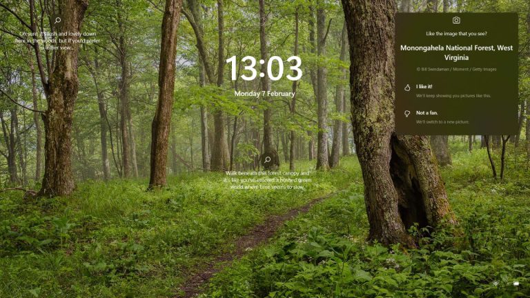 Screensaver / Lock Screen: Monongahela National Forest, West Virginia ...