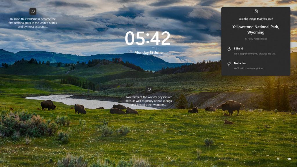 Screensaver / Lock Screen: American bison in Yellowstone National Park ...